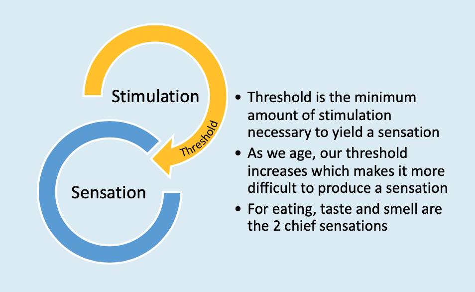 How to Eat Well in Senior Years – Part 1: How Taste and Smell are ...
